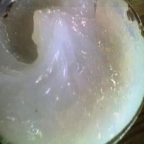 Rewack Marketing | WACKER METROARK VACUM GREASE